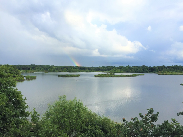 Fleet Pond - Hampshire Ornithological Society